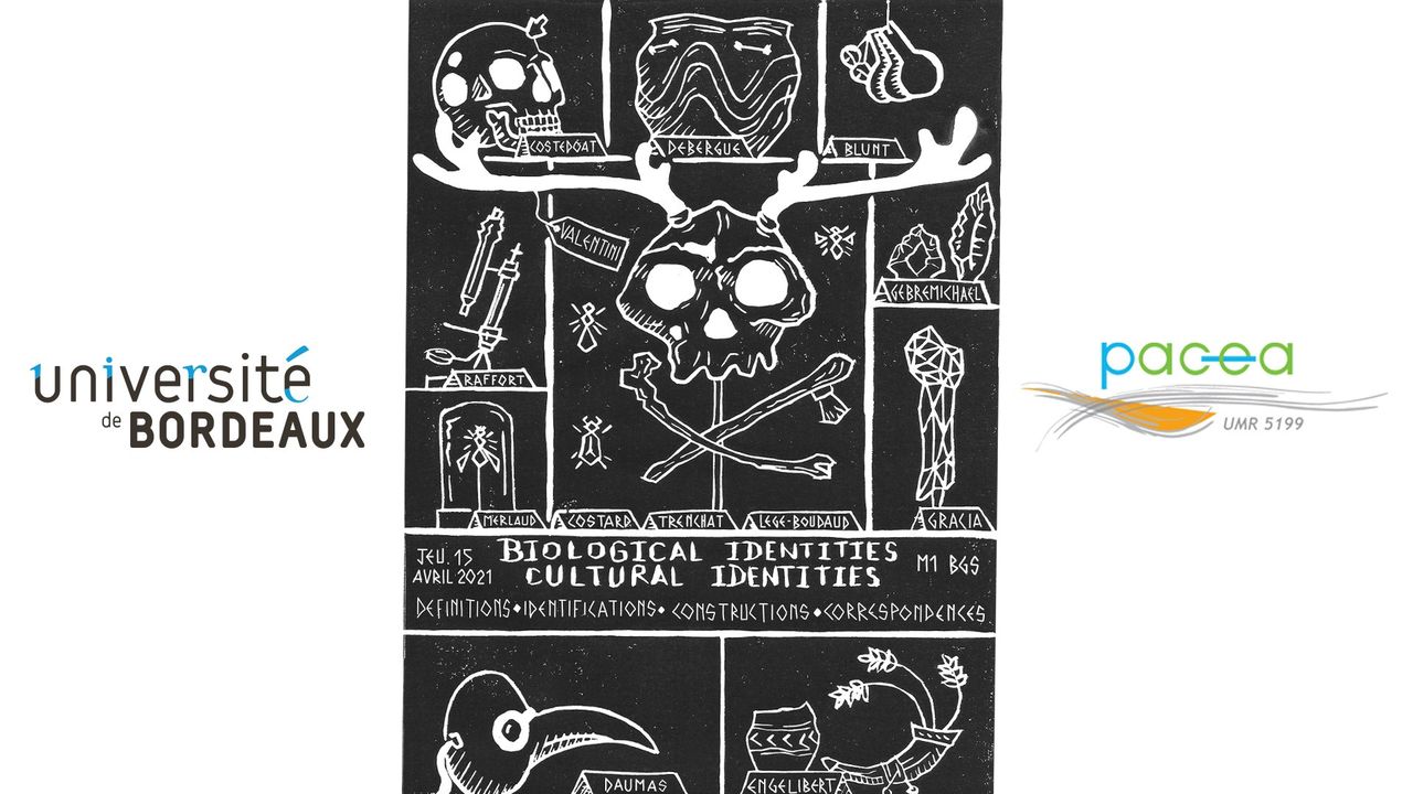 MediaPOD - Col. Sciences et Technologies - Pollical Distal Phalanges ...