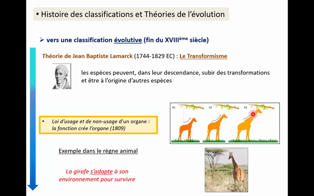 MediaPOD - Bases De La Classification Phylogénétique Du…